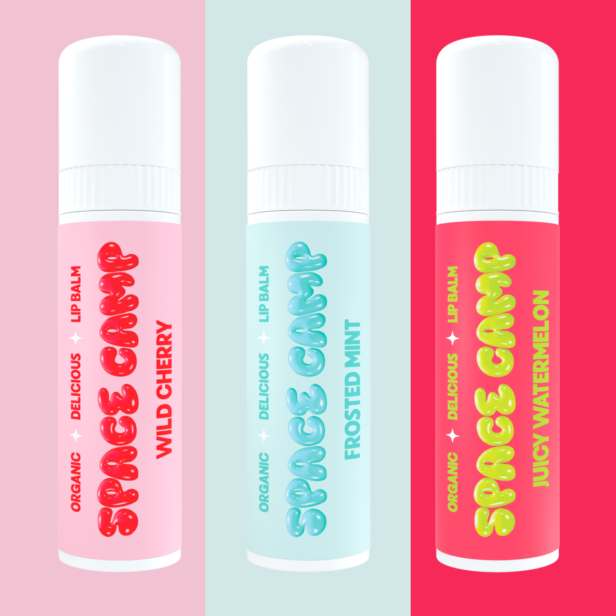Flavored Lip Balm | Shop - Space Camp Wellness